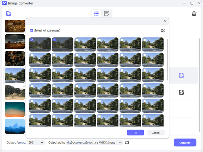 How to Convert Live Photo to GIF, JPG | Joyoshare VidiKit