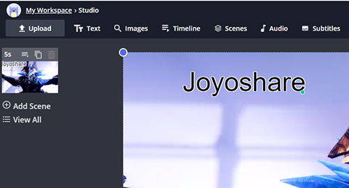Watermark Video Online? Do It Now